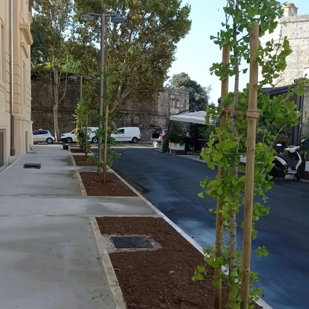 nasadi uredjenje zelenih povrsina7 – Antena Zadar