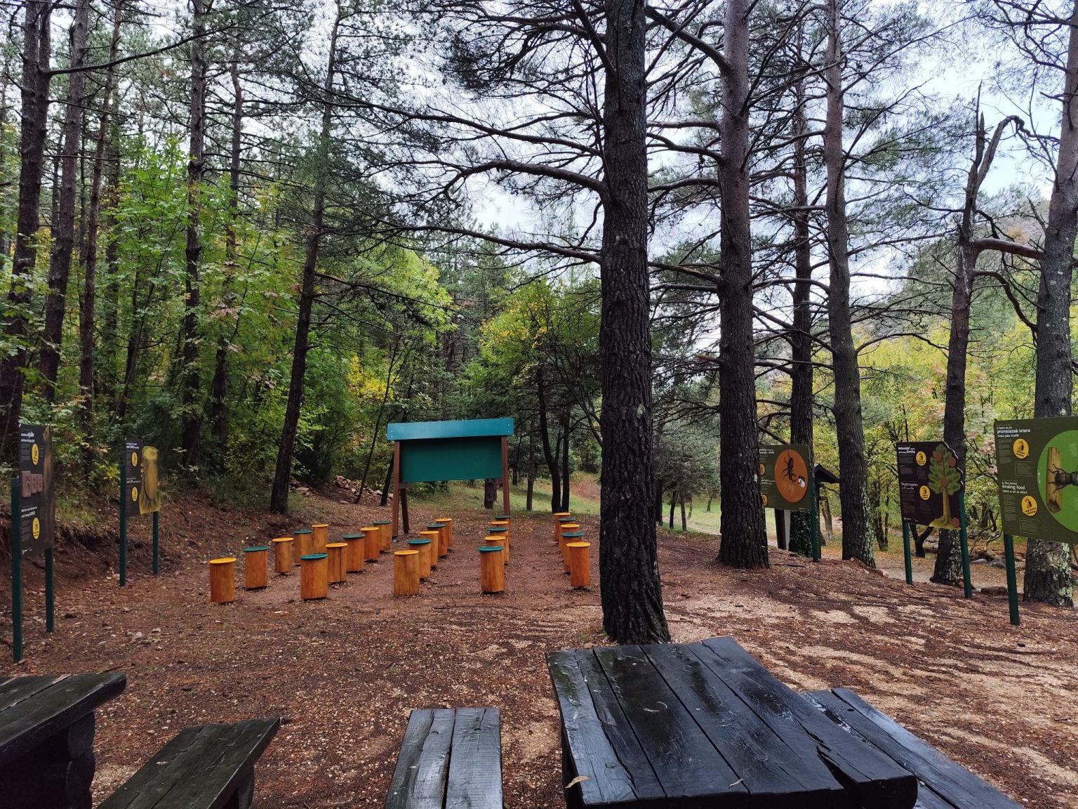 NACIONALNI PARK PAKLENICA Obnovljena "Šumska učionica" - mali, ali ...