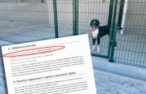 KAKAV RAZVOJ SITUACIJE! Zadarski azil ipak angažirao Veterinarsku ...