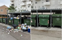 STANARI ULICE V. PAULSKOG: Bravica je smiješna za vidjeti, a kamoli ...
